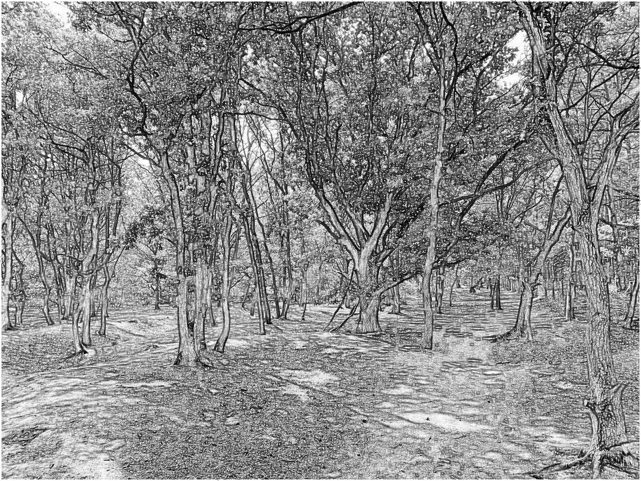 Little Wenham | Pevsner in Suffolk